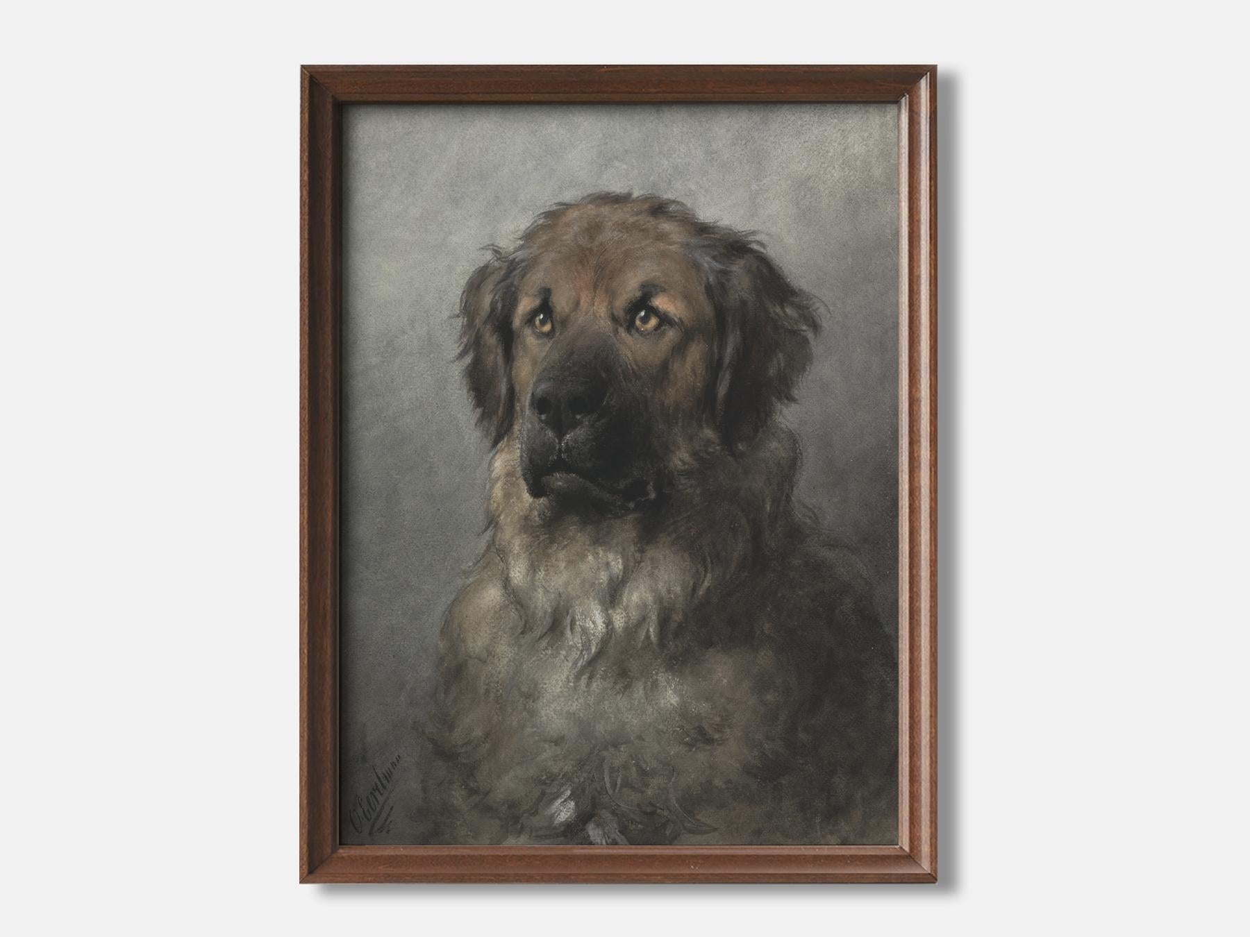 Leonberger Portrait - Art Print – Everart
