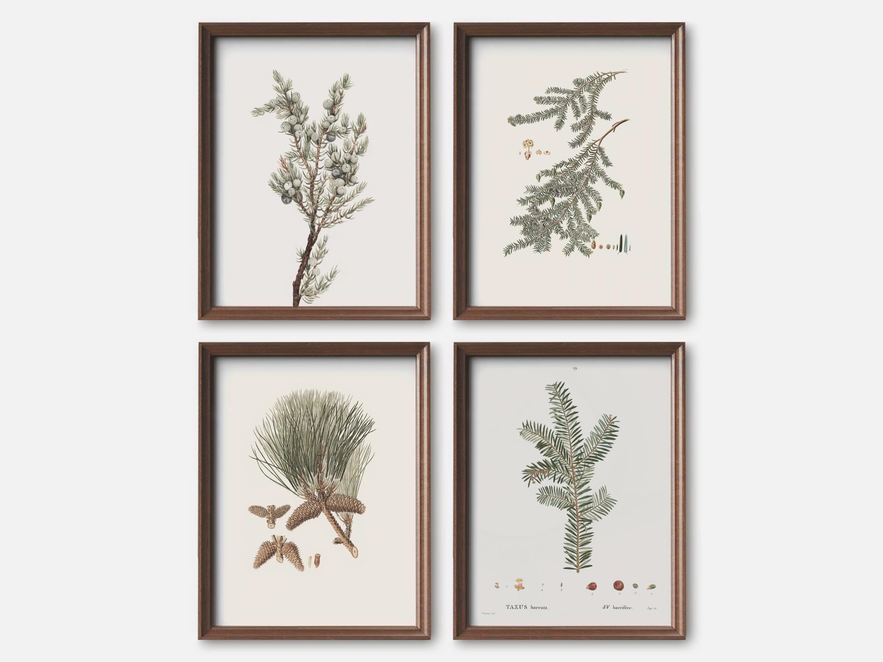 The Evergreens - Art Print Set of 4 – Everart