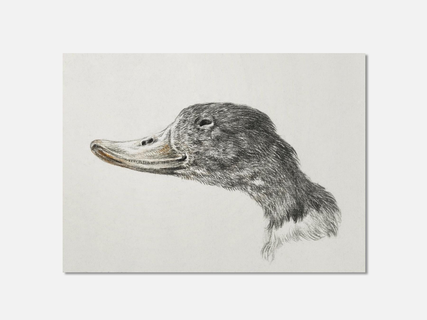 Vintage Duck Head Sketch Print – Everart